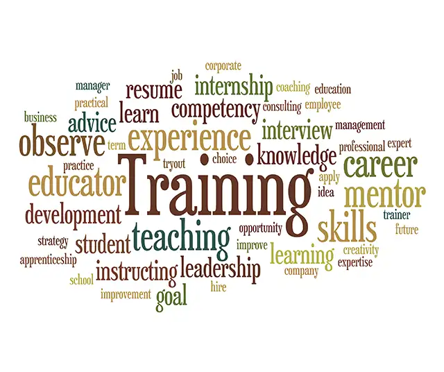 Six Sigma Onsite Training and In-House Consulting Program- SixSigma.us